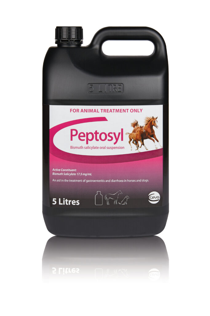 Peptosyl Oral Liquid , 5 L – Aldousari Veterinary Services and Agriculture.