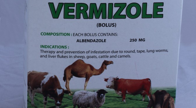 Vermizole Bolus 250mg , 5Tab/ Stripe – Aldousari Veterinary Services ...